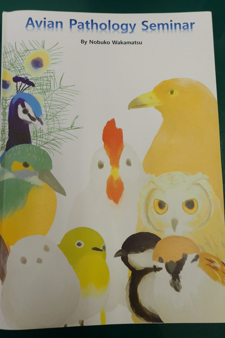 Avian pathology seminar « ブルーバード動物病院：愛媛県松山市：一般診療から眼科診療、鳥類診療まで